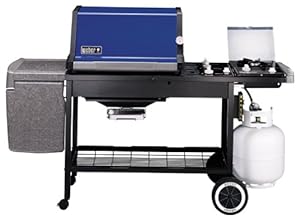 Amazon.com: Weber 2265001 Blue Genesis Silver C Propane Gas Grill ...