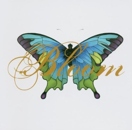 Bloom (Remix Album): Amazon.co.uk: CDs & Vinyl