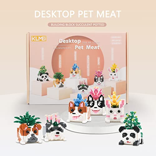 JXRLMB Collection Micro Building Blocks Set for Adults 2765 PCS Architecture Model Succulent ...