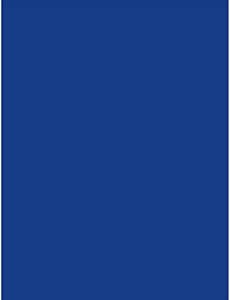 Amazon.com : Blue Poster Board - 22" x 28" (Case Pack 50) Ideal for ...