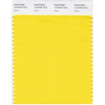 Pantone 15-1307 TCX Smart Color Swatch Card, White Pepper - House Paint ...