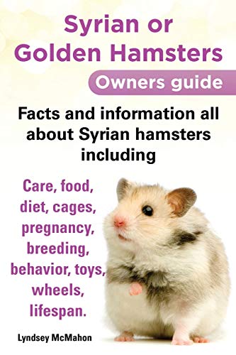 Syrian or Golden Hamsters Owners Guide Facts and Information All about ...