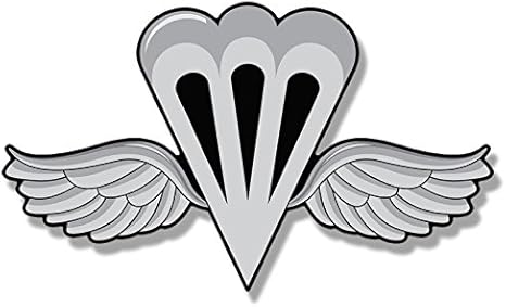 Amazon.com: American Vinyl Navy Aviation Rating AZ Maintenance ...