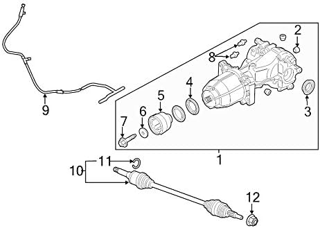 Ford CV6Z-4B416-A, Axle Shaft Seal, Axle Shafts - Amazon Canada