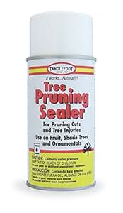Amazon.com : Tanglefoot Tree Pruning Sealer Aerosol 9 OZ : Garden & Outdoor