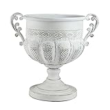 Roman Colosseum Planter - The Green Head