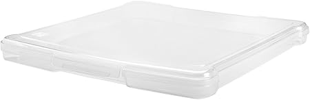 IRIS 12" x 12" Slim Portable Project Case, 10 Pack, Clear: Amazon.ca ...