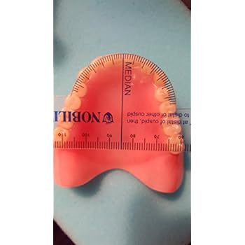 Amazon.com : Flexible Denture Millimeter Dental Ruler Trubyte : Office ...