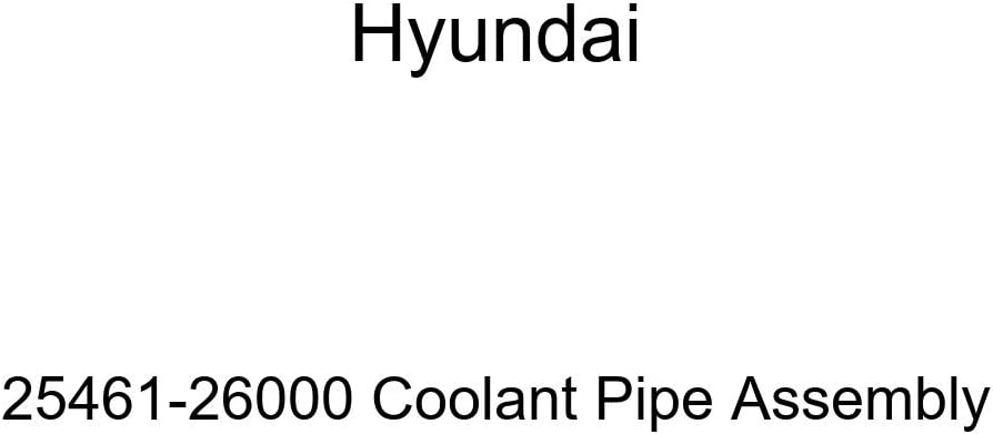 Genuine Hyundai 25461-26000 Coolant Pipe Assembly: Amazon.com.mx ...