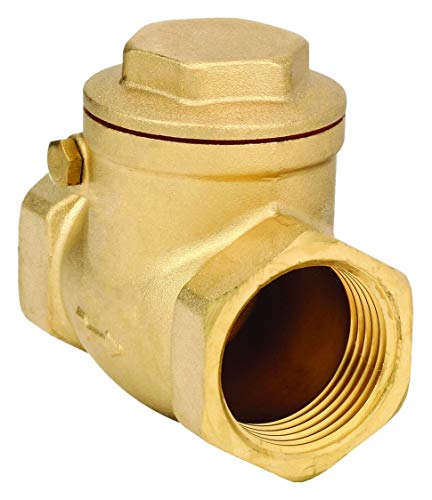 Swing Check Valve, Brass, 1 In., NPT: Amazon.com: Industrial & Scientific