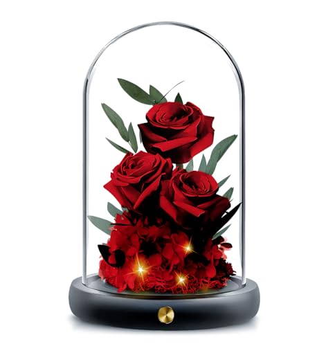 HZQVA Preserved Flowers Roses Gifts, Preserved Rose in Glass Dome, Real ...
