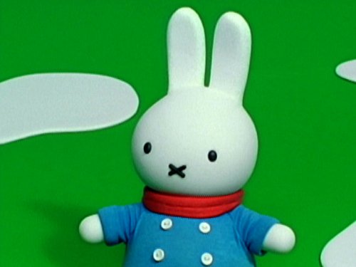 Watch Miffy and Friends: Family Celebrations | Prime Video