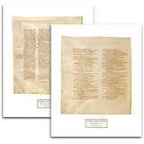 Codex Sinaiticus (Greek Edition): 9781598565775: Amazon.com: Books