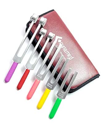 Amazon.com: Premium NEUROLOGICAL Tuning Fork Set of 5 PCS C2048 C1024 ...