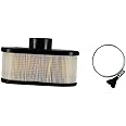 Amazon.com : Kawasaki 11013-0752 Lawn Mower Air Filter Genuine Original ...