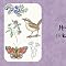 Ten-Step Drawing: Nature: Learn to draw 60 plants & animals in ten easy ...