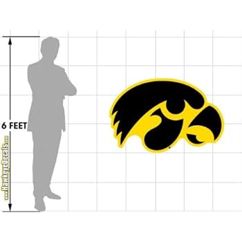 Iowa Hawkeyes Herky 48x35 inch Large Fabric Wall Skin - Wall Murals ...