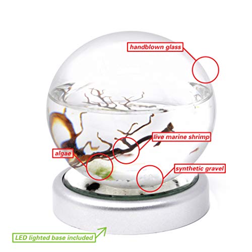 EcoSphere Closed Aquatic Ecosystem, Small Sphere with LED Base | Pricepulse