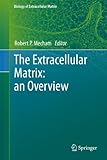 The Extracellular Matrix and Ground Regulation: Basis for a Holistic ...