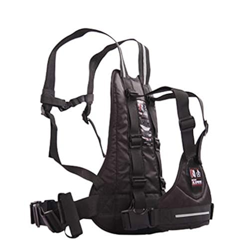 LOLBUY High Strength Childrens Motorcycle Safety Harness Can be ...