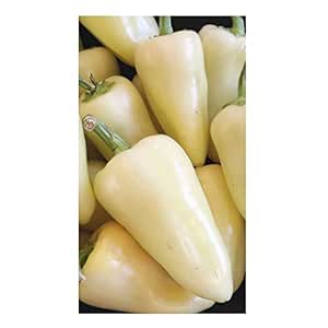 Fresh Yellow Caribe Chiles Peppers 2 lbs.: Amazon.com: Grocery ...