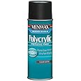 Minwax 33333000 Polycrylic Protective Finish Spray for Wood, Clear ...