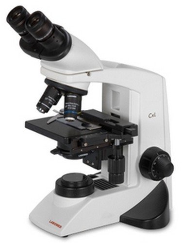 Labomed CXL-LED Monocular Microscope: Amazon.in: Industrial & Scientific