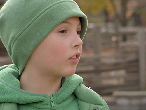 Amazon.com: Watch Dino Dan Season 2 | Prime Video