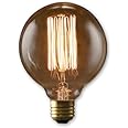 Bulbrite Incandescent G30 Medium Screw Base (E26) Light Bulb, 40 Watt ...