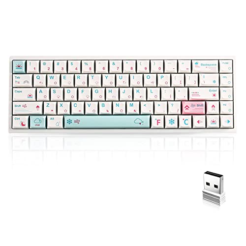 BOYI WK68 Hot Swappable RGB Mechanical Keyboard,Wireless Bluetooth 5.0 ...