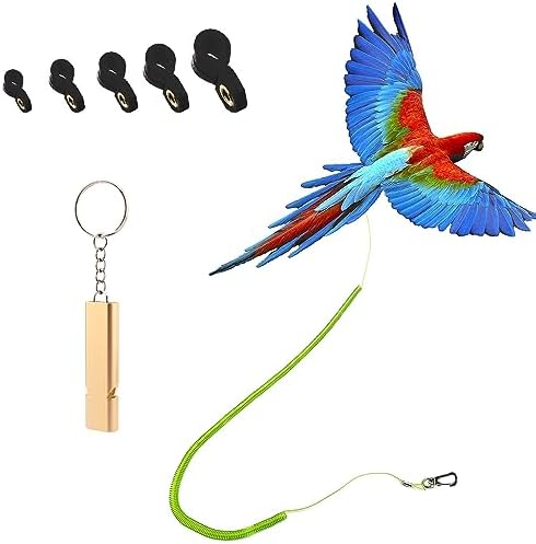kcrygogo Parrot Bird Harness Leash Anti-bite Outdoor Flying Training ...