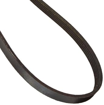 5PJ1270 Ametric® Metric Poly-V Belt, PJ Tooth Profile, 5 Ribs, 1270 mm ...