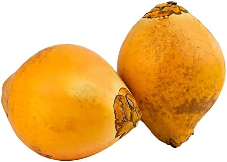 Fit Fresh Coconut Tender King - Sri Lanka, Refreshing, Hydrating, with ...