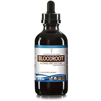 Amazon.com: Bloodroot Tincture Alcohol-Free Extract, Wildcrafted ...
