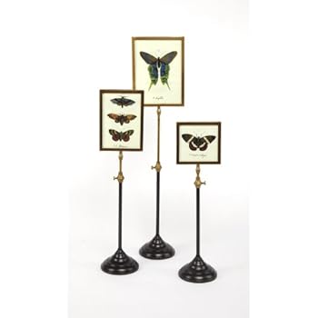 Amazon.com - Two's Company Telescopic Vision Double Sided Photo Frames ...