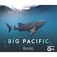 Big Pacific: Passionate, Voracious, Mysterious, Violent: Tansley ...