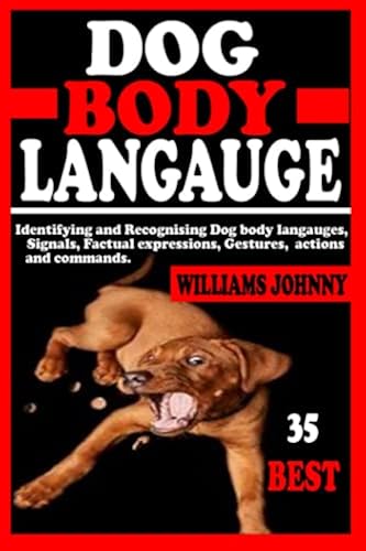35 BEST DOG BODY LANGUAGE: Identifying and Recognizing Doggie Body ...
