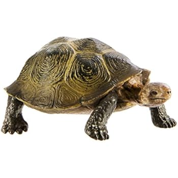 Amazon.com: Safari Ltd Incredible Creatures Red-Eared Slider Turtle ...