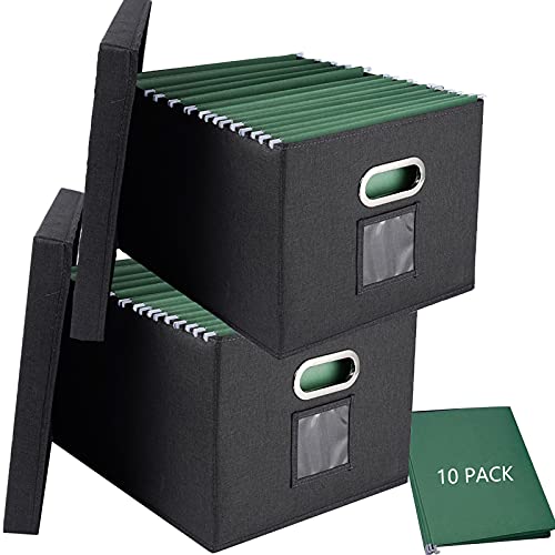 File Organizer Box, 2 Pack File Boxes for Hanging Files with Lid ...
