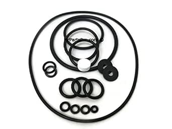 RK-200 Regal Chlorinator Repair Kit: Amazon.com: Industrial & Scientific