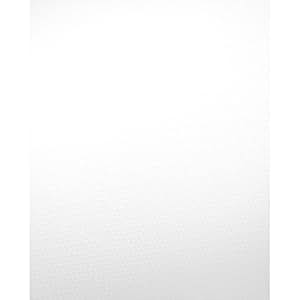 Amazon.com : White Vinyl Photography Backdrop - 8ft(w) x 16ft(h ...