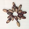 Narmada shiva Lingam Pocket Stone 1"inch (6 piece Lot) Sacred Narmada ...