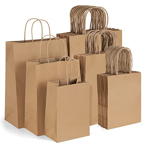 Eupako 75pcs Kraft Paper Bags Assorted Sizes, Brown Paper Bags with ...