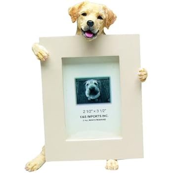 Amazon.com: Black Labrador Retriever 2.5" x 3.5" Dog Photo Frame: Pet ...