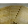 Amazon.com: 10 Blank Egyptian Papyrus Sheets for Art Projects 12x16in ...