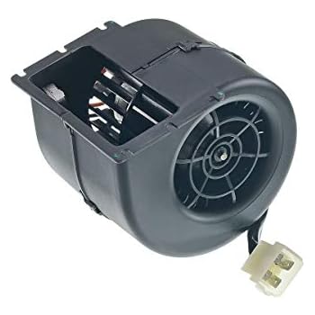 Amazon.com: 008-A100-93D 12V Spal Automotive Blower Motor 008A10093D ...