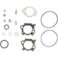 Amazon.com : Briggs & Stratton 498260 Carburetor Overhaul Kit : Lawn ...