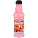 Amazon.com : SOBE Elixir, Pina Colada, 20 Ounce Bottle (Pack of 12 ...