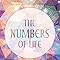The Numbers of Life: The Hidden Power in Numerology: Avery, Kevin Quinn ...