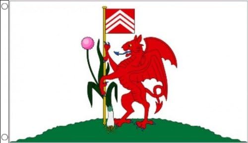 AZ FLAG Cardiff Flag 3′ x 5′ – Cardiff – Walles flags 90 x 150 cm ...